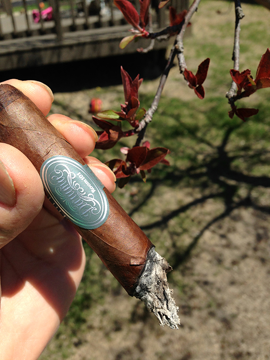 Room101 Daruma Sucio Cigar Review