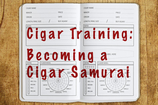 A Beginner's Guide to Cigar Smoking
