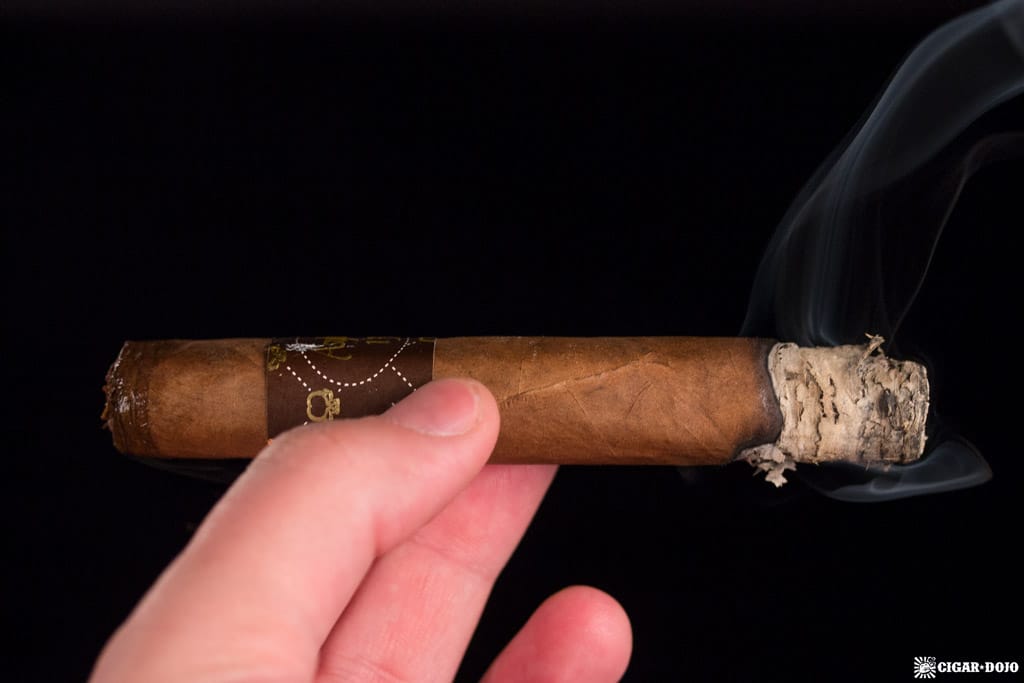Asylum 13 Medulla Oblongata Review - Cigar Dojo