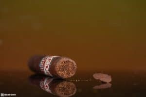 Punch Dragon Fire Review - Cigar Dojo