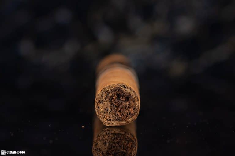 Room101 Johnny Tobacconaut Robusto - Cigar Dojo