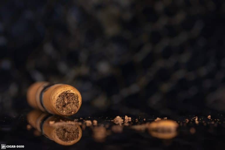 Room101 Johnny Tobacconaut Robusto - Cigar Dojo