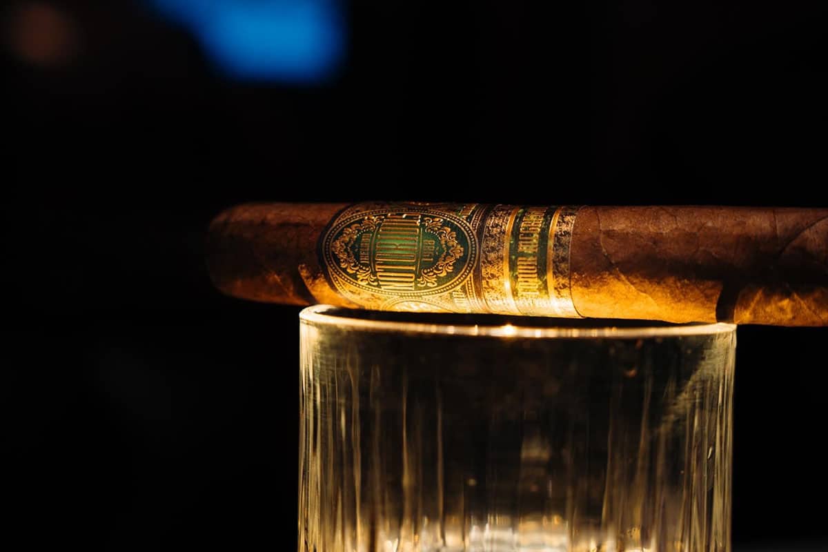 Conor McGregor Launches Notorious Cigars - Cigar Dojo